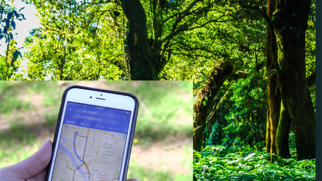 Saving Our Forests With GIS - Sambus Geospatial | Esri Distributor in ...